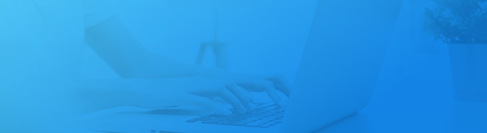 Apa itu Berdu? Berdu Platform Bisnis Terbaik